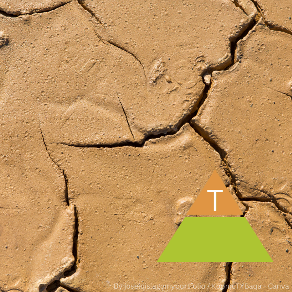 Tonboden verbessern – So wird schwerer Boden locker und fruchtbar