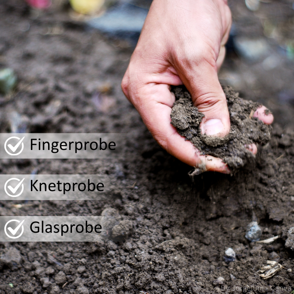 Schluffboden verbessern – Tipps für stabile, fruchtbare Böden